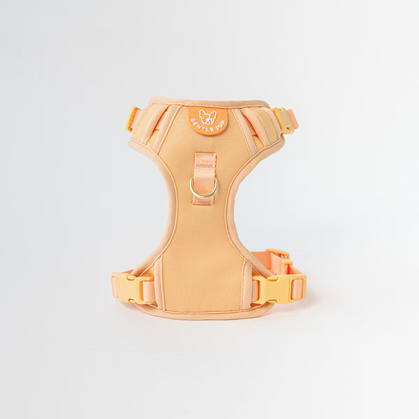 Easy Harness V2 - Tangerine | Gentle Pup