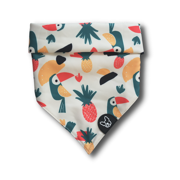 Bandana - Aloha Alice | Gentle Pup