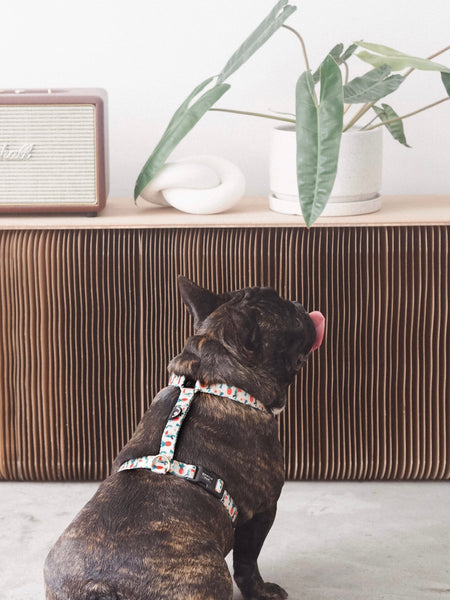 Maxi Harness - Aloha Alice | Gentle Pup